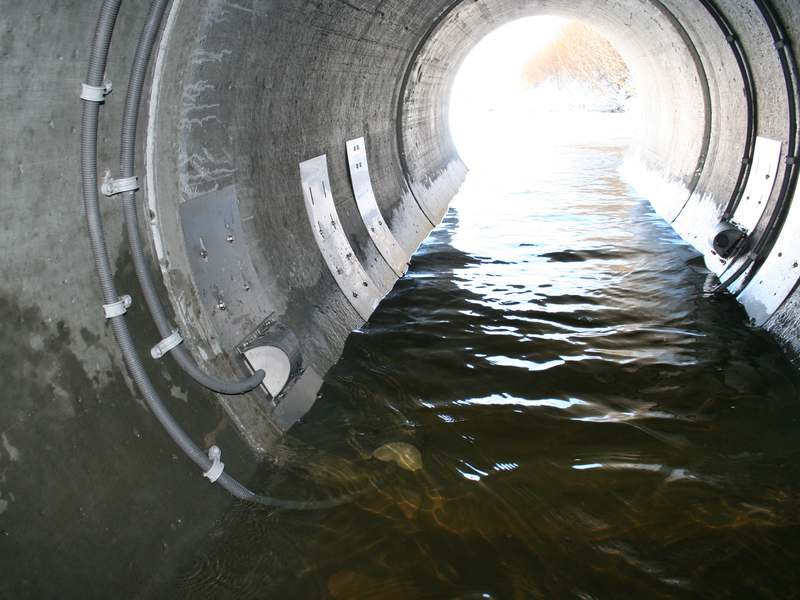 Flo-Sonic OCFM — FLOW-TRONIC S.A.