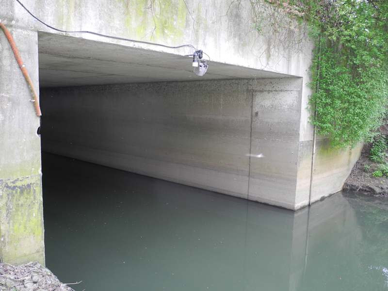 PHOENIX 2 — FLOW-TRONIC S.A.